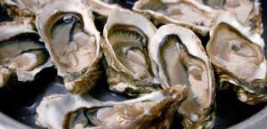 Best Baits for Sheepshead: How to Catch and Rig