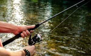 Are Ugly Stik Rods Good? Don’t Buy One Until You Read This!