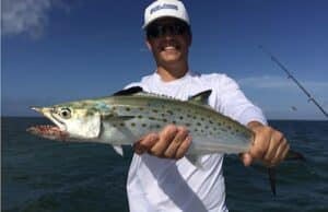 The Ultimate Guide To Surf Fishing Florida Gulf Coast