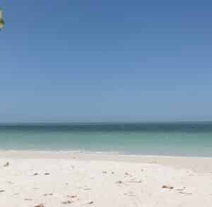 The Ultimate Guide To Surf Fishing Florida Gulf Coast