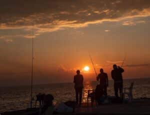 How To Fish: The Ultimate Guide To Fishing for Beginners