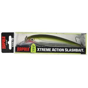Best Surf Fishing Lures: Artificial Baits For Every Species