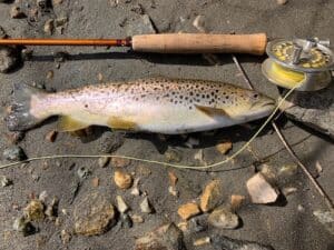 Different Types Of Fishing Rods And Their Uses