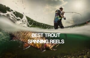 8 Best Trout Spinning Reels In 2025 Tested By The Experts