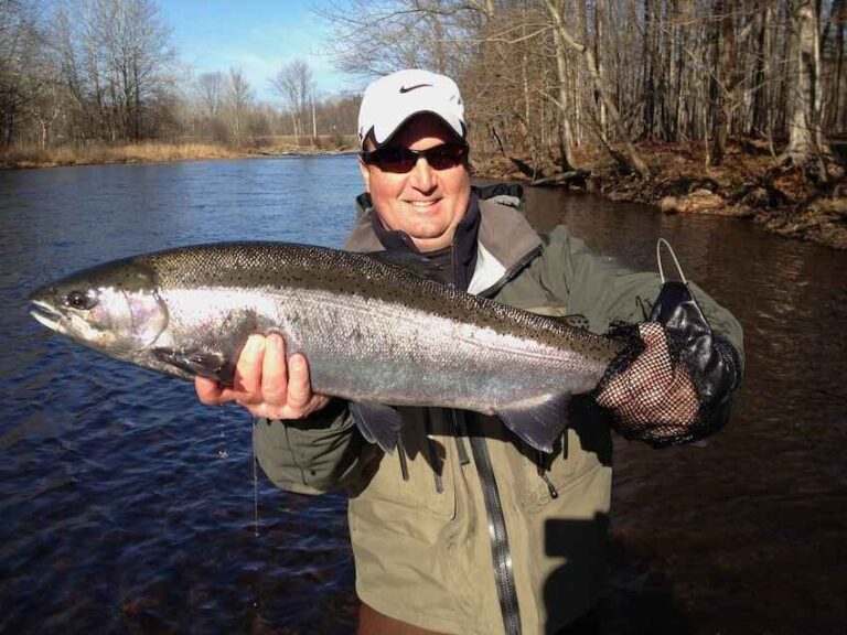 Best Steelhead Rods In 2025 Tested And Reviewed